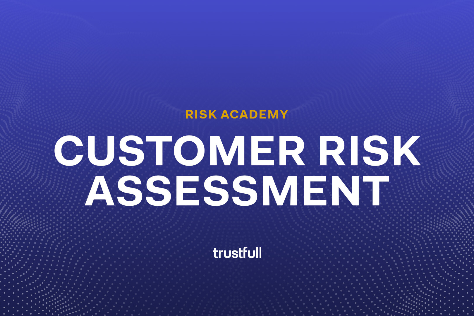 Why Is Customer Risk Assessment Essential for Financial Security?