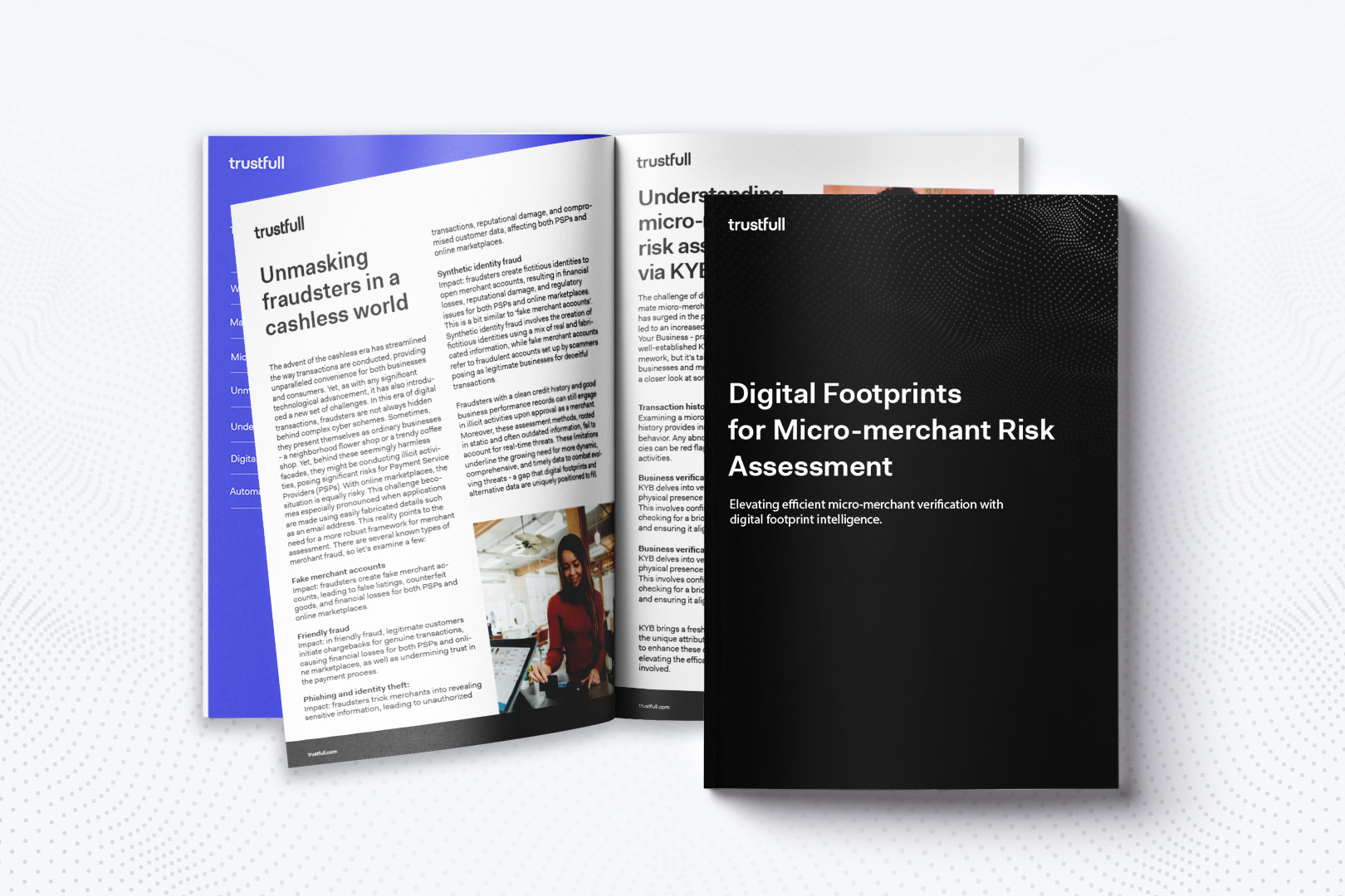 Digital Footprints for Micro-merchant Risk Assessment