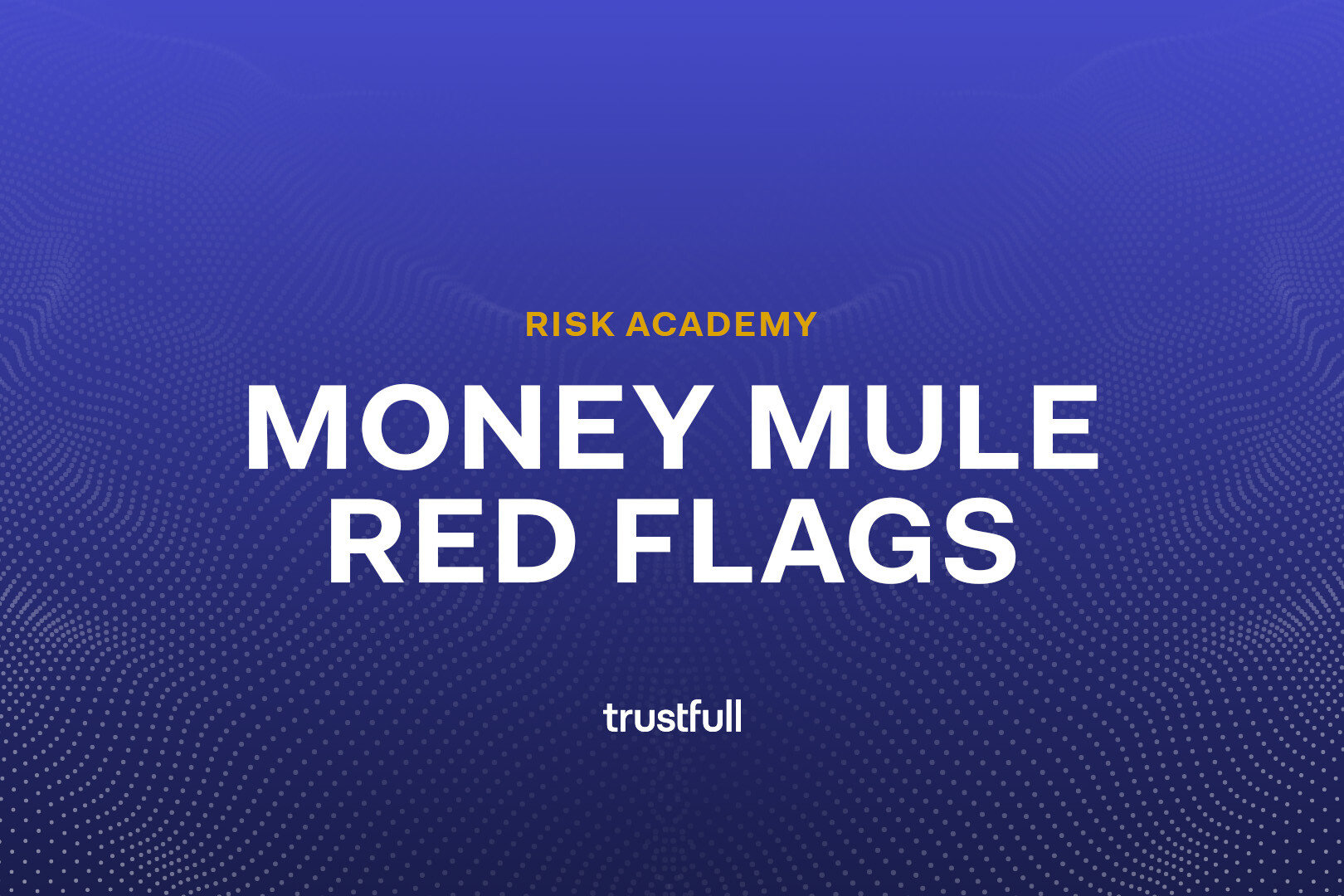 How to Spot Money Mule Red Flags in Banking