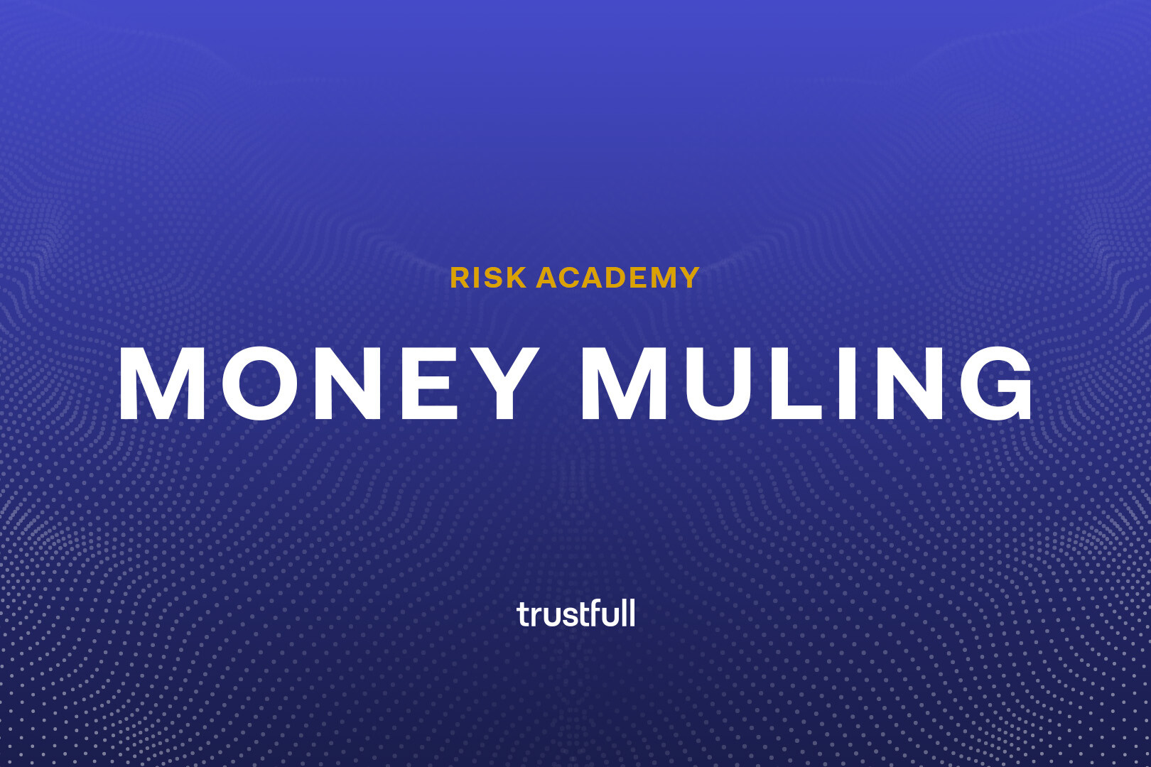 Money Muling: The Covert Conduit of Illicit Financial Flows